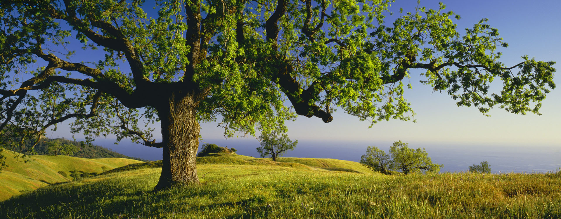 Mason Street Wealth Management | Retirement Planning | Fresno, CA ...